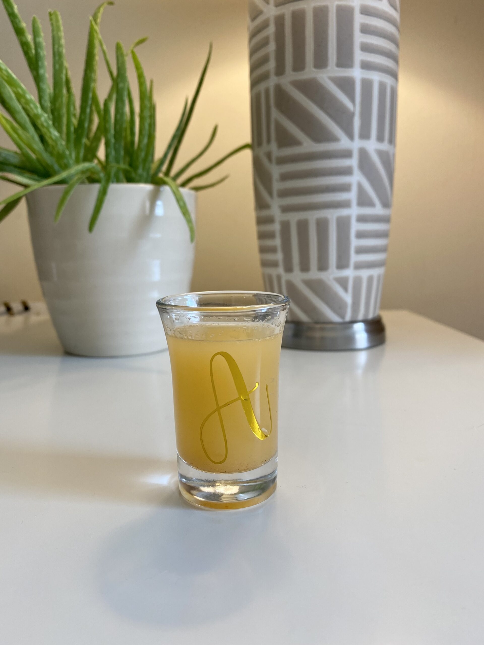 Homemade Ginger Shot Recipe - Asha Rakha